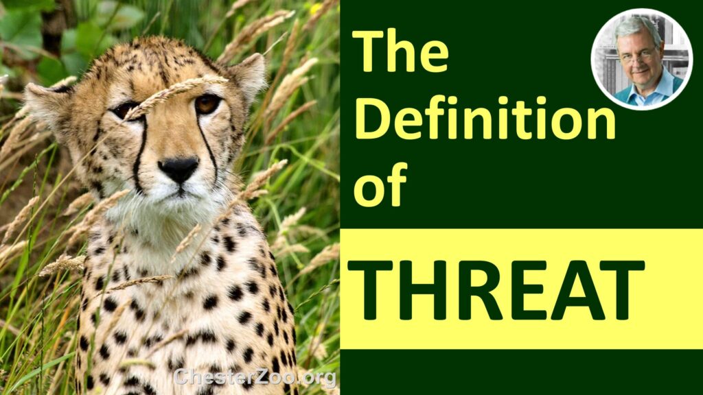 The Meaning of THREAT – THREAT in a Sentence